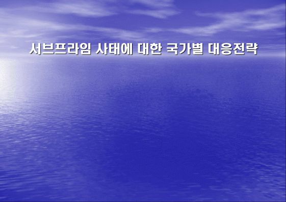 서브프라임 사태에 대한 국가별 대응전략