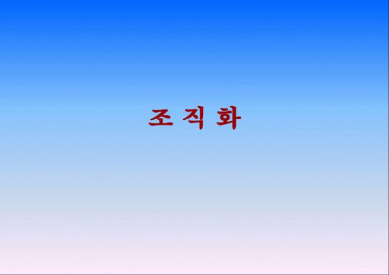 조직화 레포트 자료