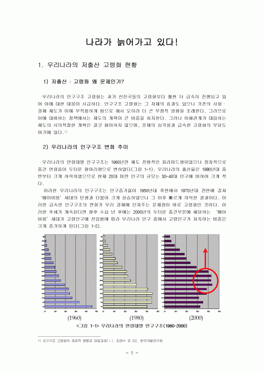 [보건행정] 저출산 고령화의 문제점과 정책대안