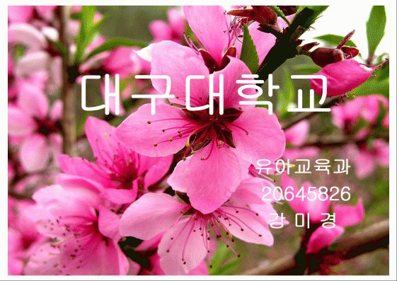 교통안전 PPT - 안전하게 길을 건너요, 교통안전