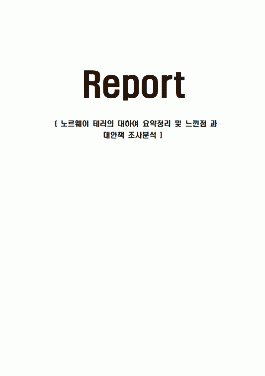 노르웨이 테러의 대하여 요약정리 및 느낀점 과 대안책 조사분석