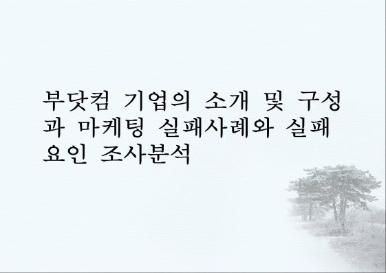 부닷컴(Boo.com) 마케팅, 성공사례, 마케팅전략, 성공전략, 경영전략분석, 기업의 소개 및 구성과 마케팅 실패사례와 실패요인 조사분석
