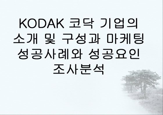 KODAK(코닥) 마케팅, 성공사례, 마케팅전략, 성공전략, 경영전략분석, 기업의 소개 및 구성과 마케팅 성공사례와 성공요인 조사분