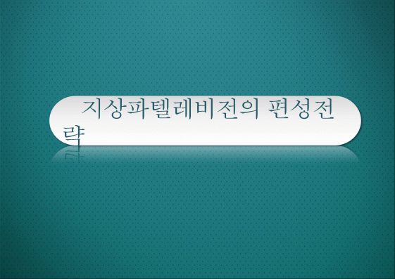 지상파 텔레비전의 편성전략