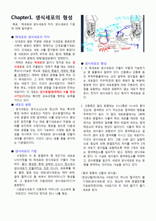 동물발생학 정리_kw
