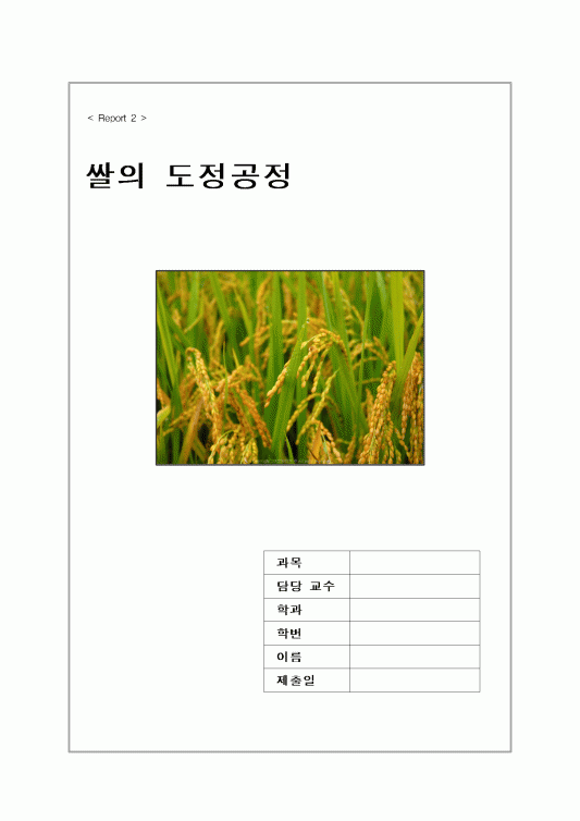 쌀의 도정공정