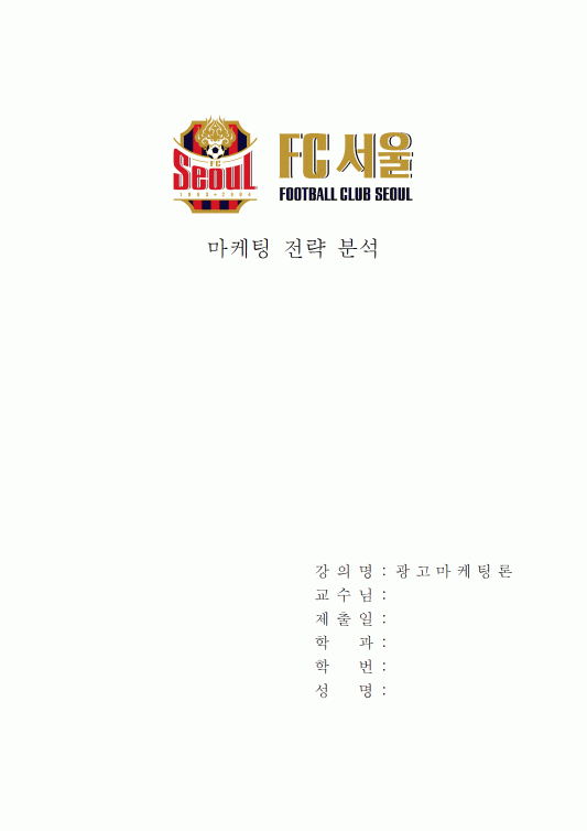 2012 FC서울 마케팅전략 분석