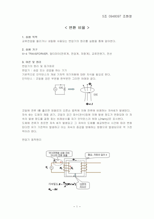 변환비율 레포트 자료