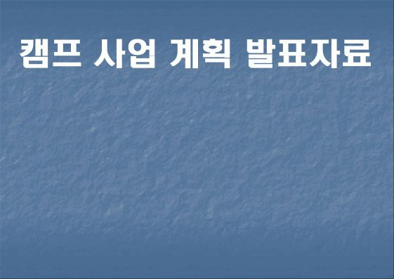 캠프 사업계획 발표자료