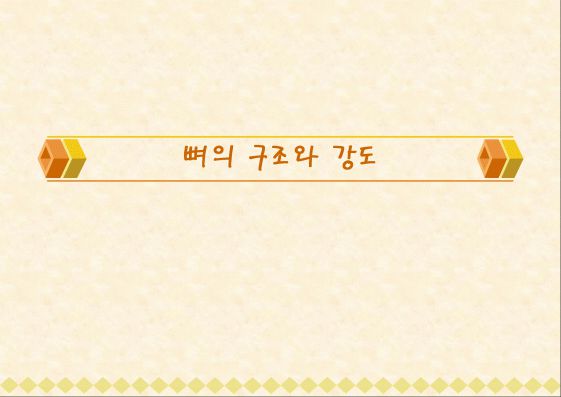 뼈의 구조와 강도 - 뼈의 기능, 구조, 구성, 강도