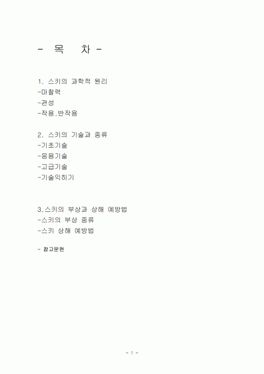 스키의 기술 레포트 자료