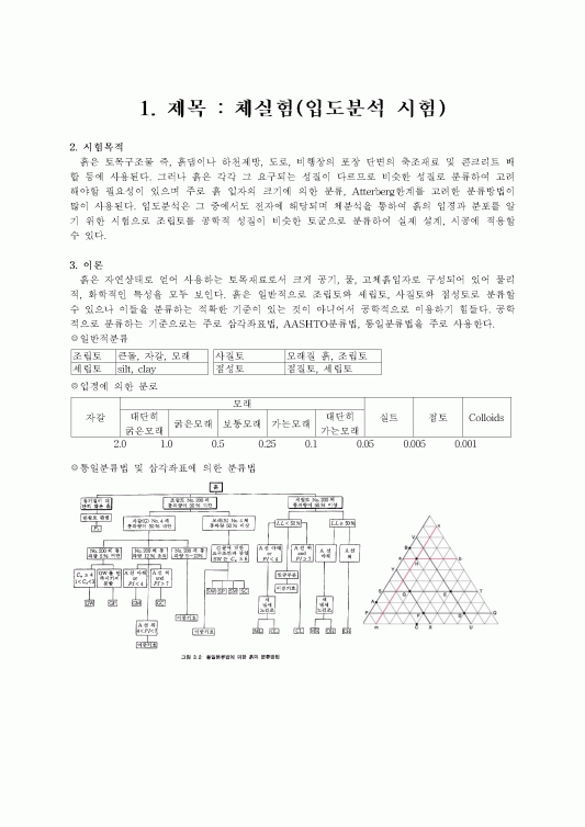 체실험 레포트 자료