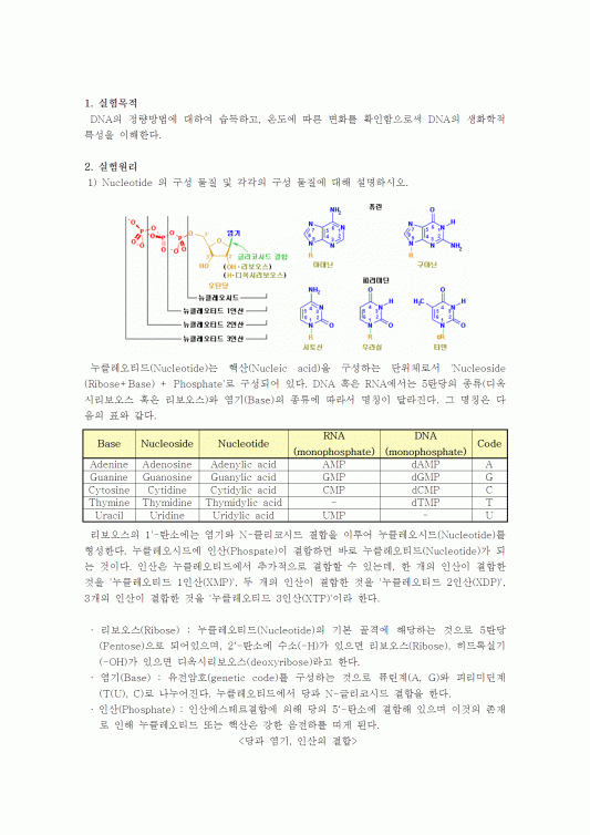 생물공학실험 DNA정량법