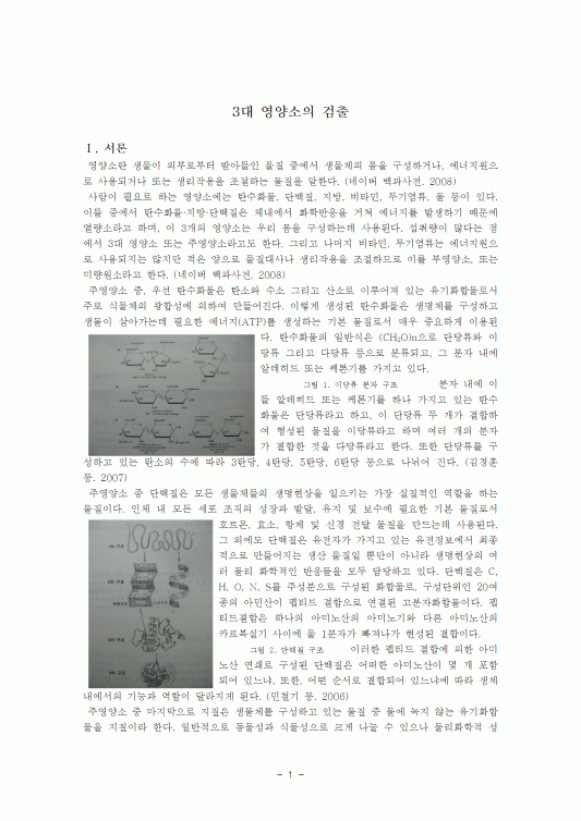 [생물] 3대 영양소의 검출