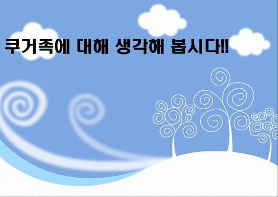 쿠거족에 대해 생각해 봅시다