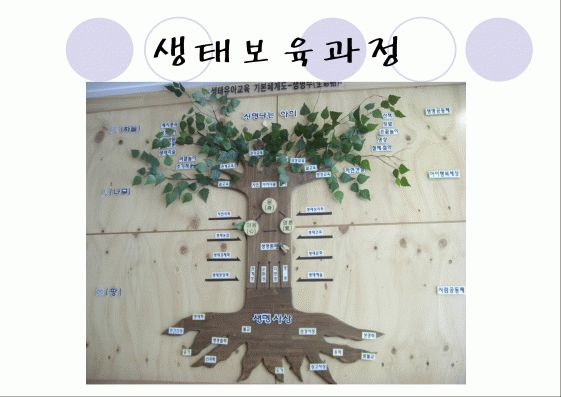 [보육학개론]생태유아교육의 성격, 생태유아교육의 배경, 관점, 생태유아교육 프로그램의 구성, 방법, 실제 사례분석 및 생태유아교육의 과제와 전망