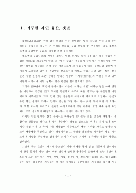 [환경학] 갯벌 생태계를 위협하는 환경 문제 및 보존 대책