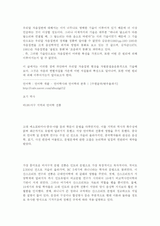 자립분절음운론과 다차원음운론