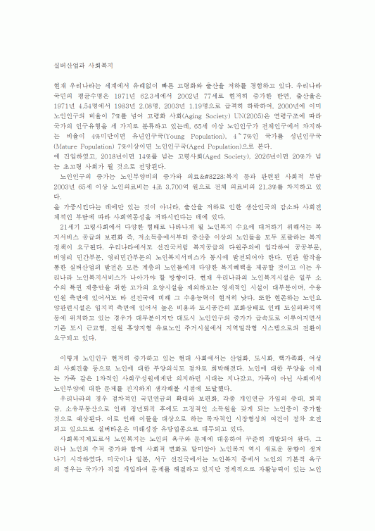 실버산업과 사회복지