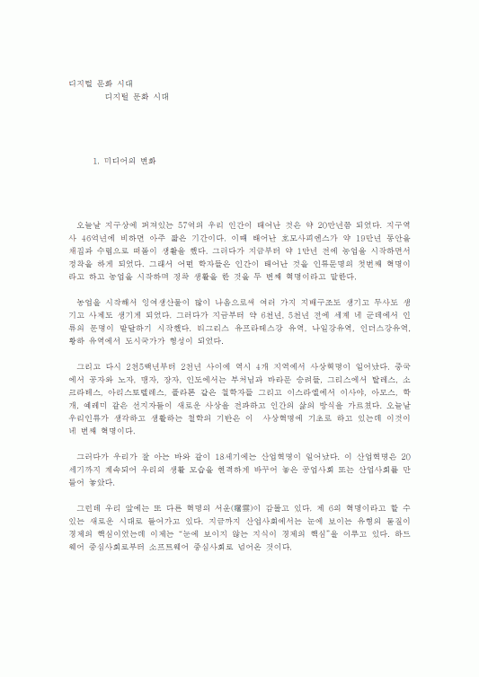 디지털 시대 문화