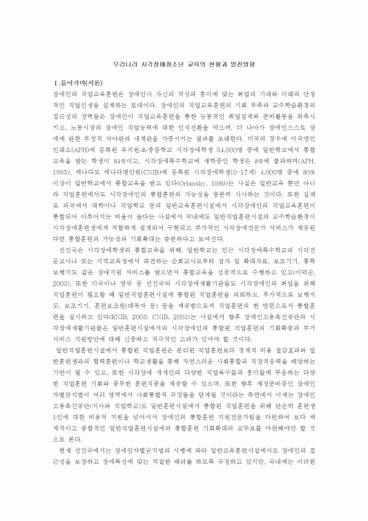 우리나라 시각장애청소년 교육의 현황과 발전방향