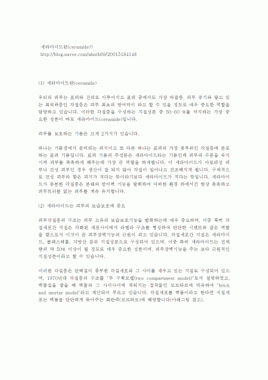 세라마이드 레포트 자료