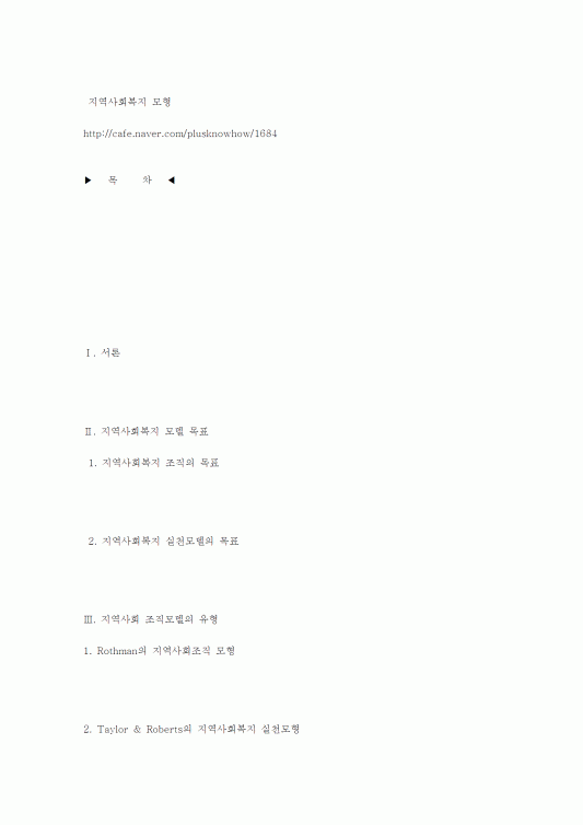 지역사회 복지모델