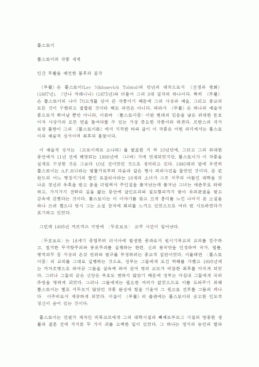 톨스토이 레포트 자료
