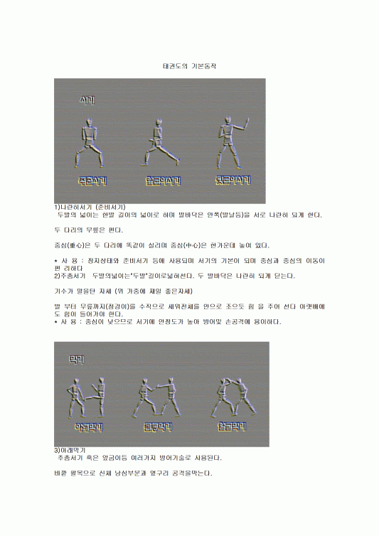 태권도의 기본동작