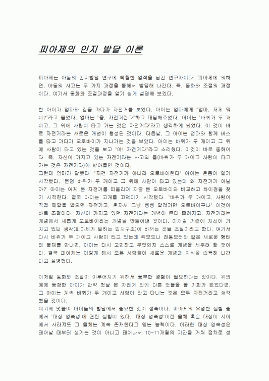 피아제 인지발달 이론과 교육법