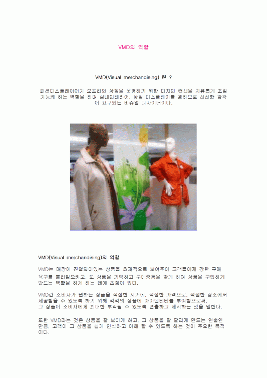 VMD의 역할 레포트 자료