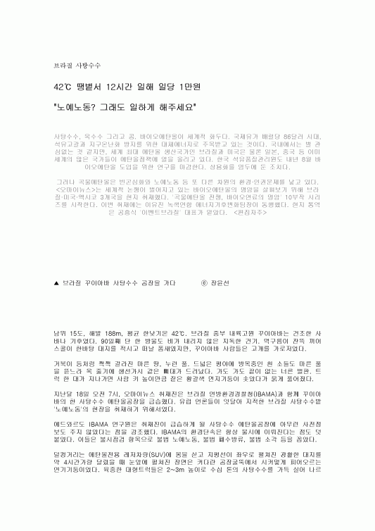 브라질의 사탕수수, 커피, 고무, 다이아몬드