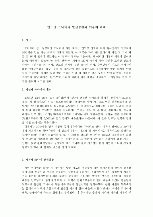 인도양 쓰나미의 발생상황과 이후의 과제