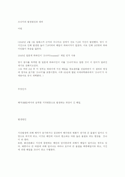 쓰나미 원인과피해