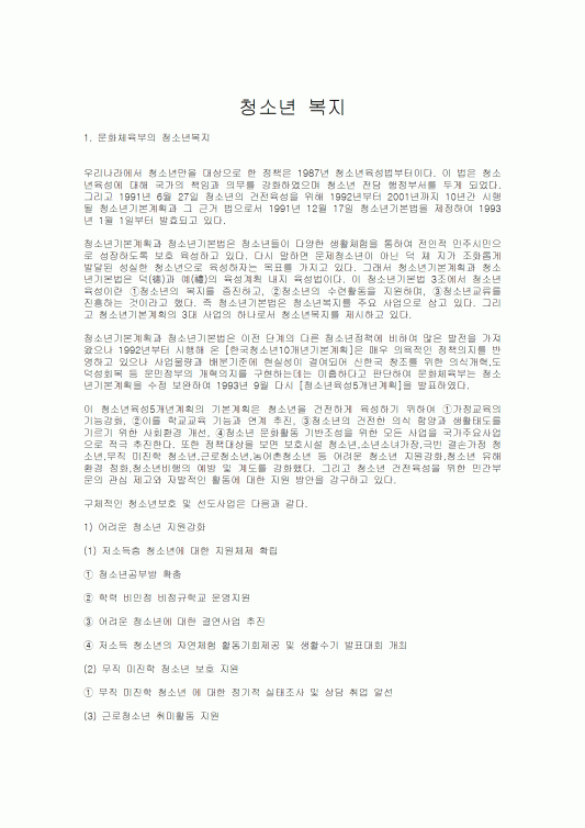 청소년 복지의 과제