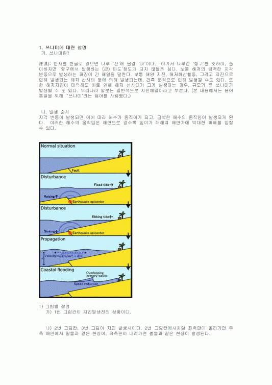 쓰나미 발생,대처,사례