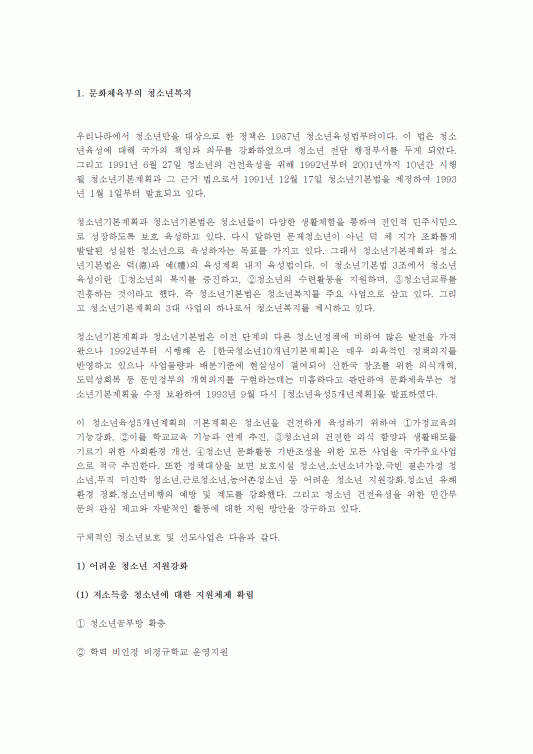 [사회과학] 청소년복지