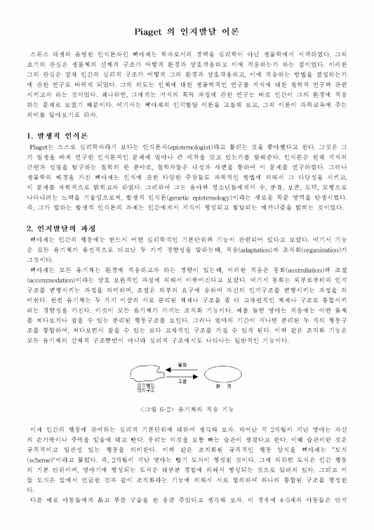 삐아제의 인지발달 이론