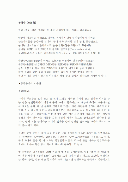동양란에 대해