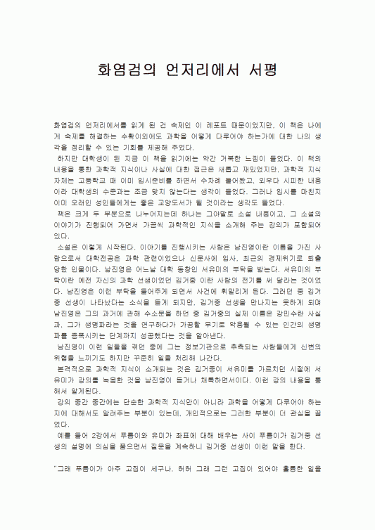 화염검의 언저리에서 서평