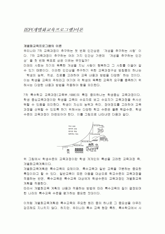 IEP(개별화교육프로그램)이론