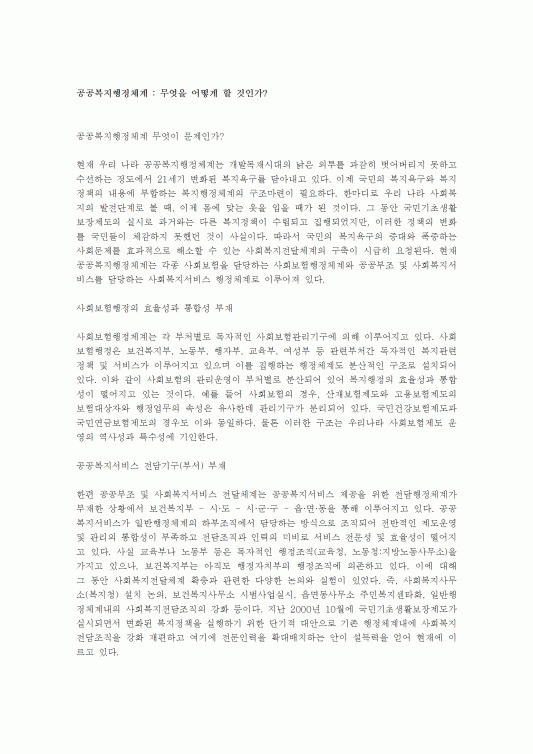 공공복지행정체계에 대하여