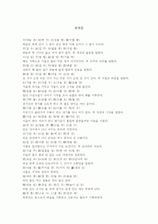 천자문 레포트 자료