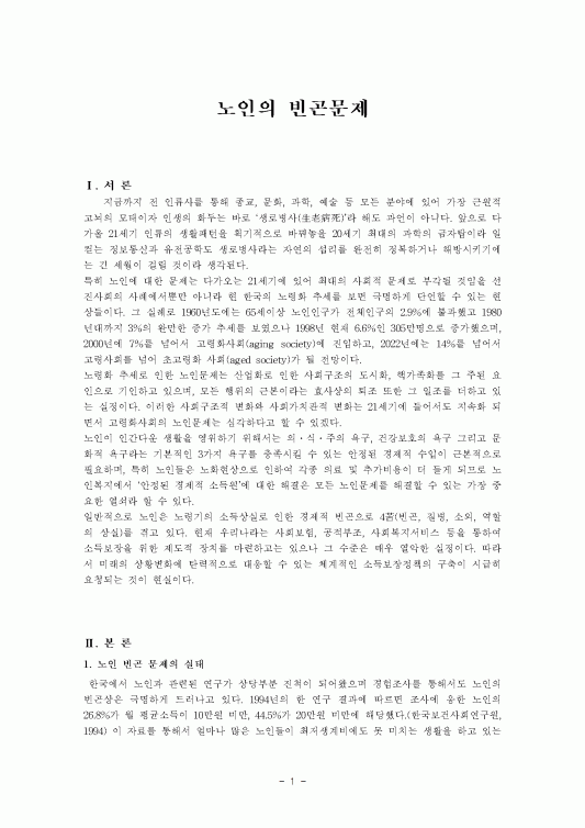 노인의 빈곤문제