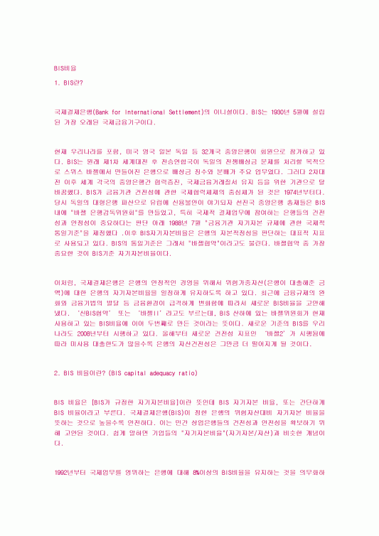 BIS비율 레포트 자료