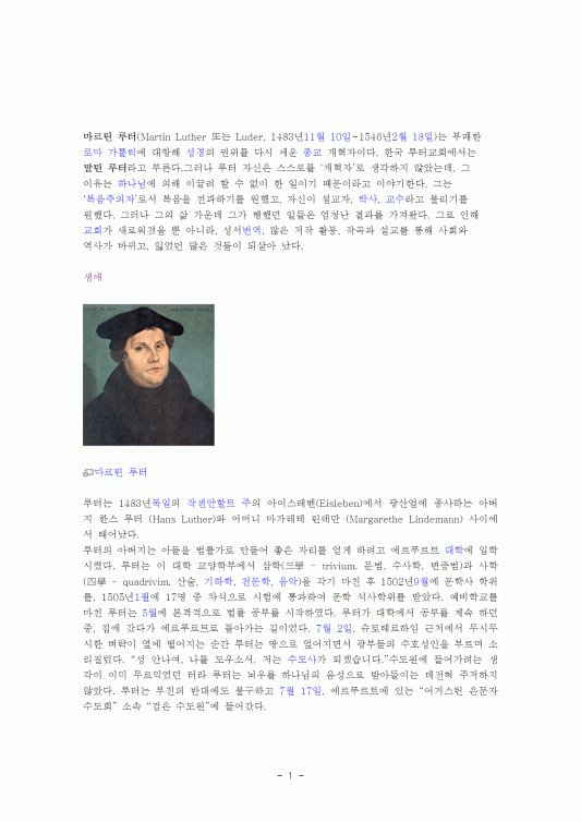 마르틴 루터 레포트 자료