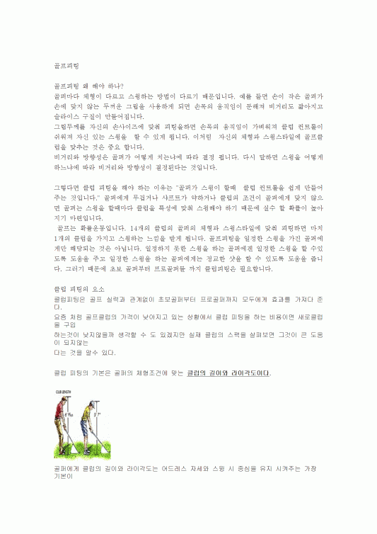 골프피팅 레포트 자료