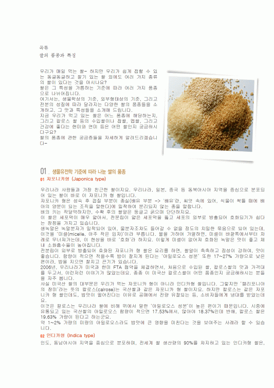 곡류 레포트 자료