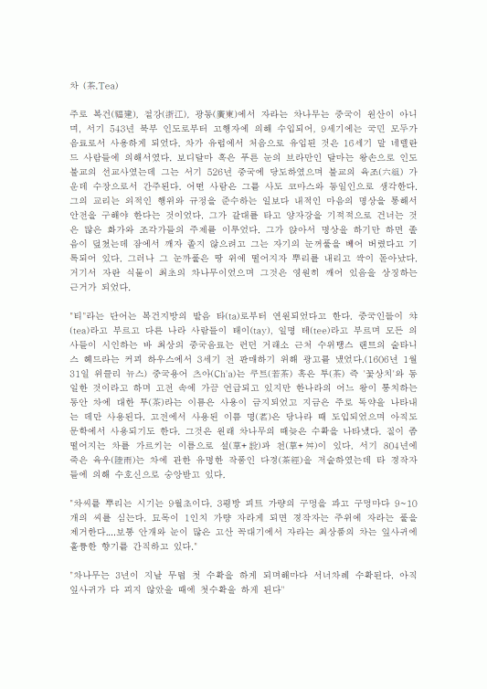 차의 성분과 효능, 이용법