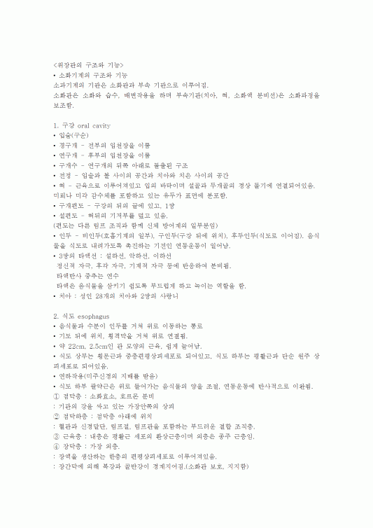 위장관의 구조와 기능